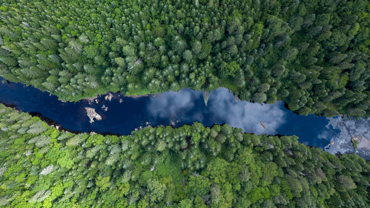 What is BA Better World | High Life Magazine